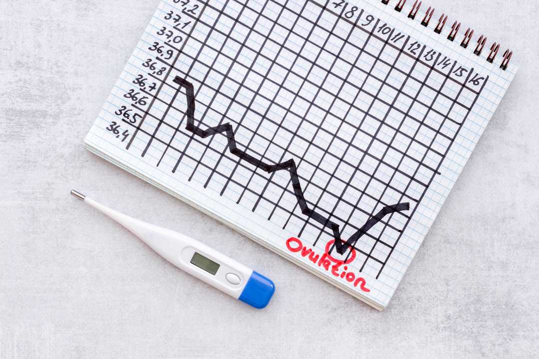 The Power of Tracking Basal Body Temperature | Women's Health ...